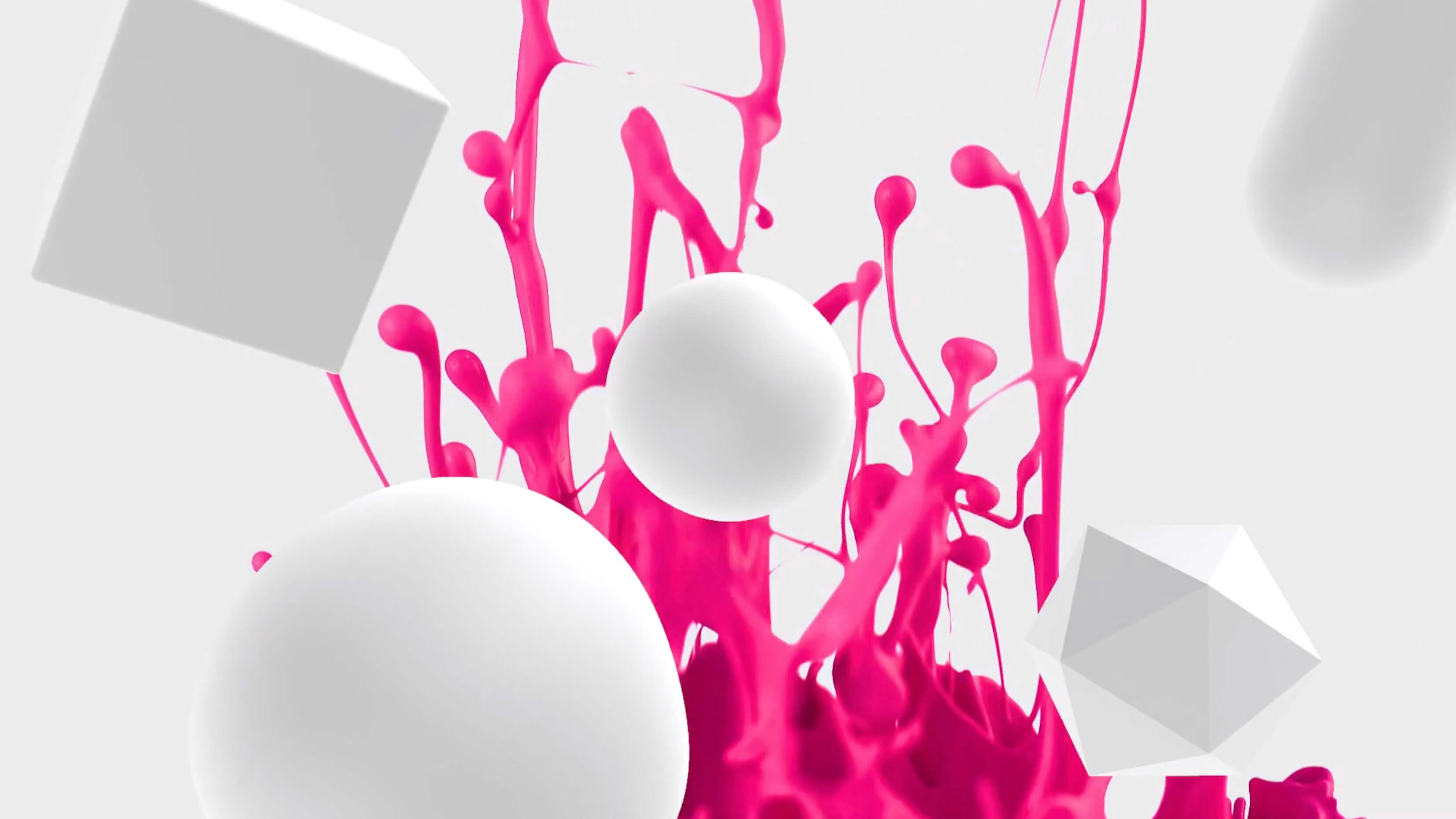 Telekom Brand Experience